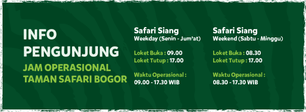 Harga Tiket Masuk, Jam Buka, Aktivitas Taman Safari Cisarua Bogor 2019