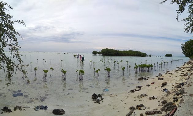 5 Wisata Pantai Pulau Pari yang Cantik, Mana Paling Kamu Sukai